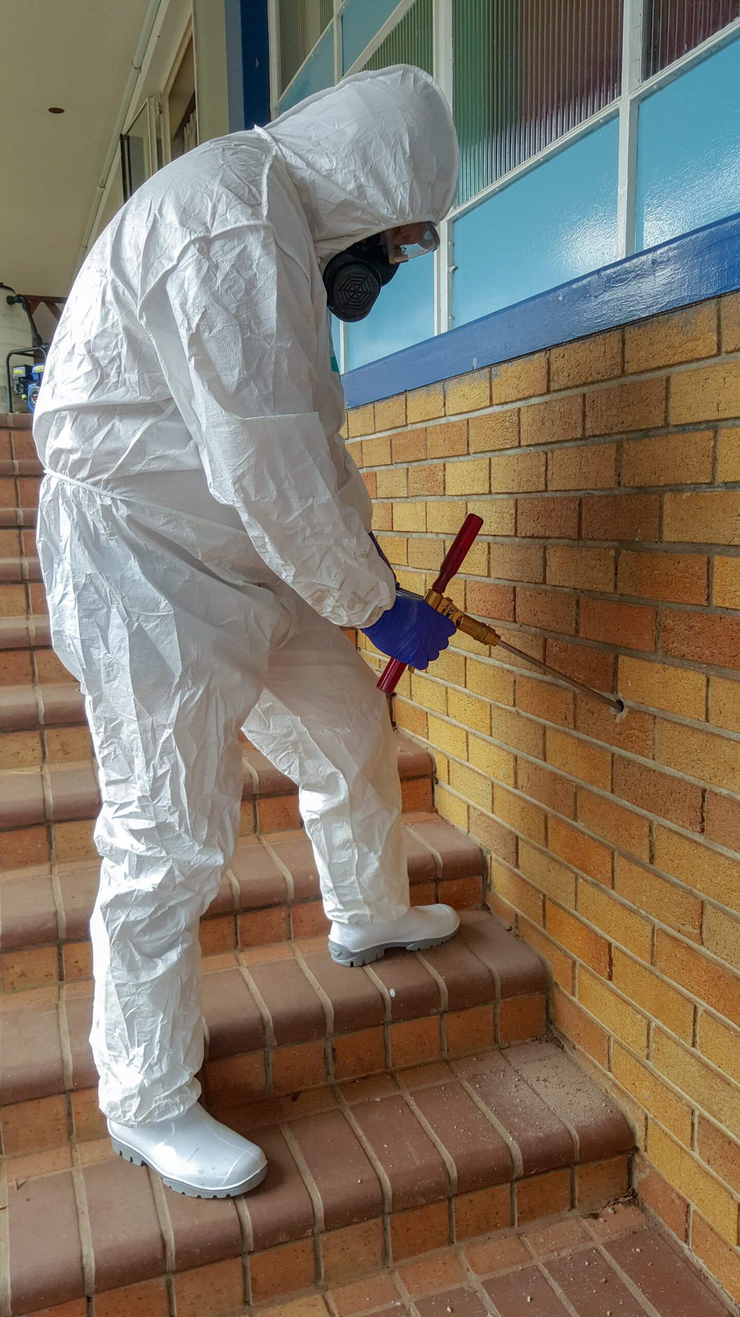 Killem - Pest Control Services